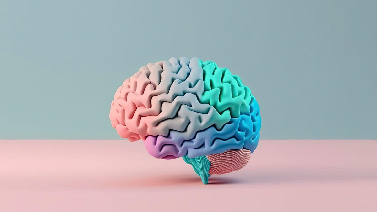 How To Refresh Your Brain For Studying: 9 Ways – The Drop